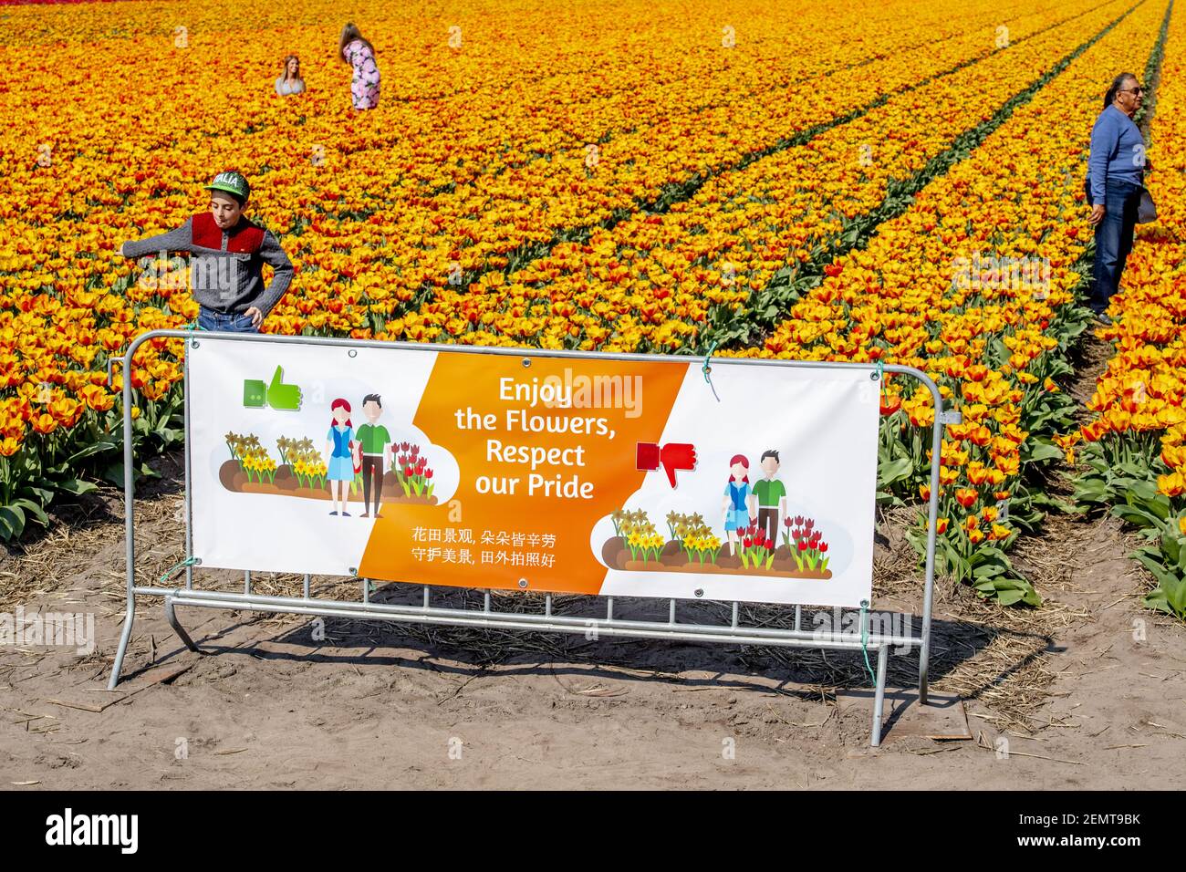 Lisse - Tourist in the flower park the Keukenhof on April 8, 2019 ...
