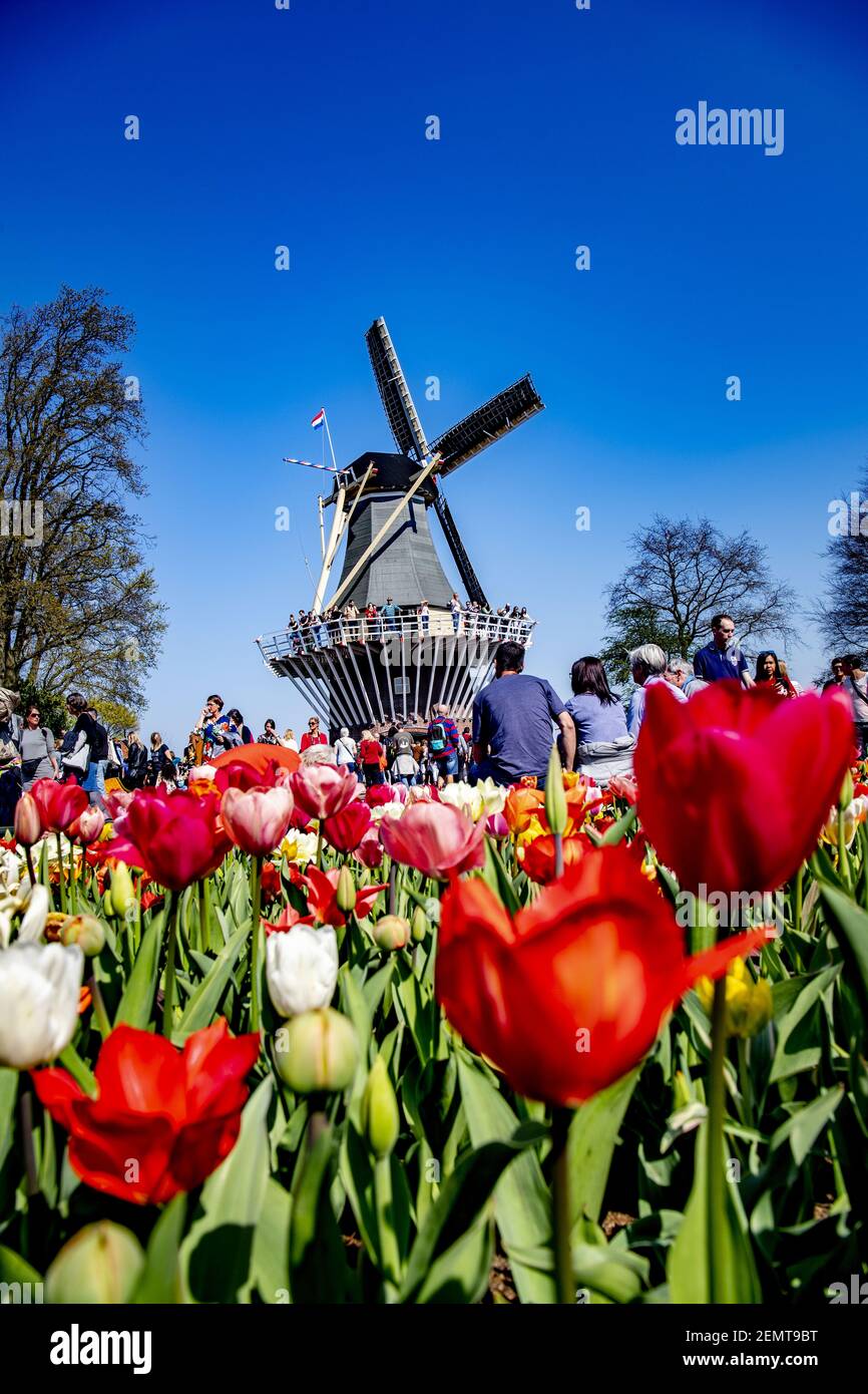 Lisse - Tourist in the flower park the Keukenhof on April 8, 2019 ...