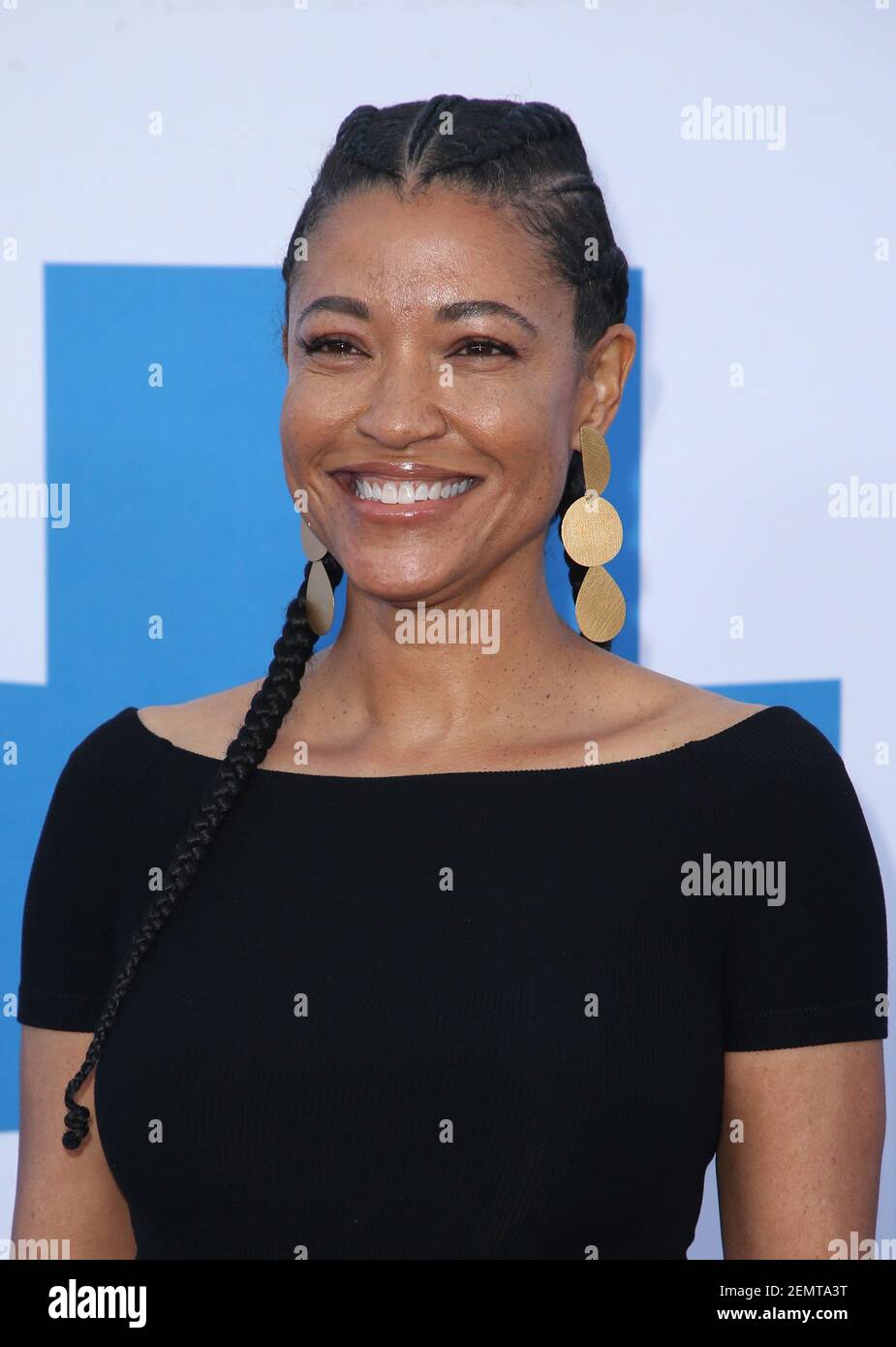 8 April 2019 - Los Angeles, California - Tina Gordon. The Premiere Of ...