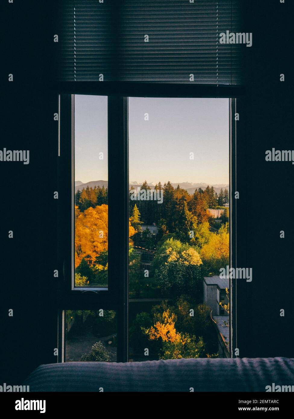 View of trees and mountains during sunrise out of the window Stock ...