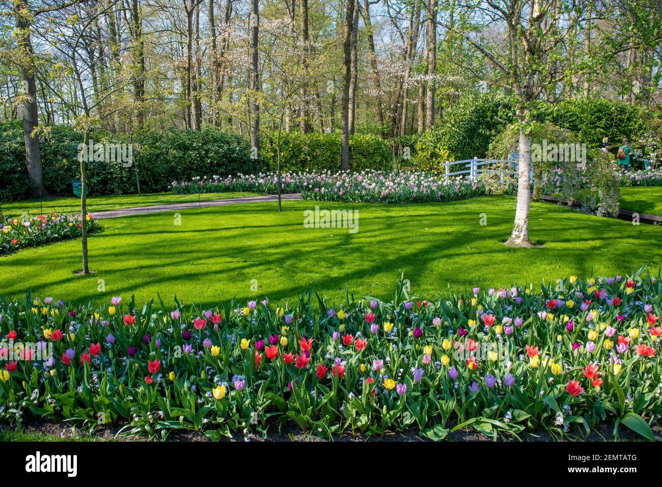 De Keukenhof in Lisse. also known as flower fields and flowers of ...