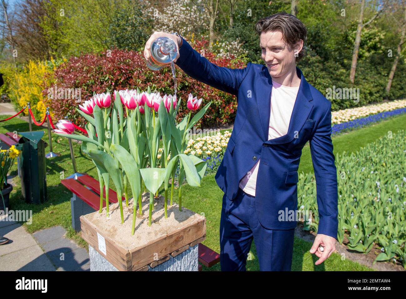 Mike Beckingham during the tulip baptism of the AMS Secrets tulip in De ...