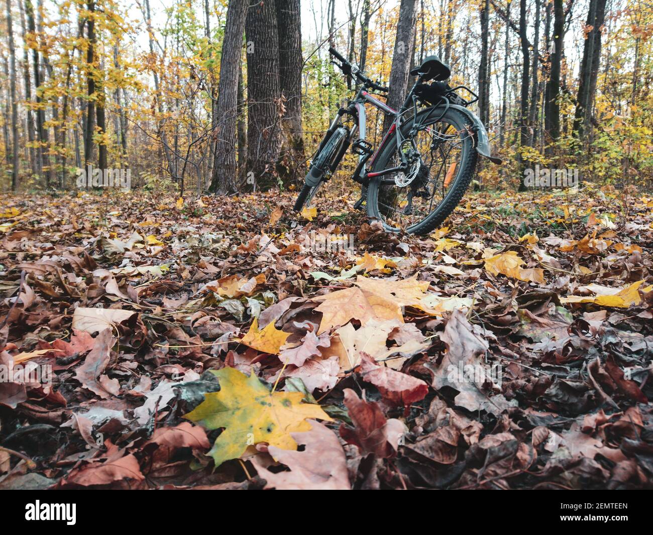 Lean lifestyle hi-res stock photography and images - Alamy