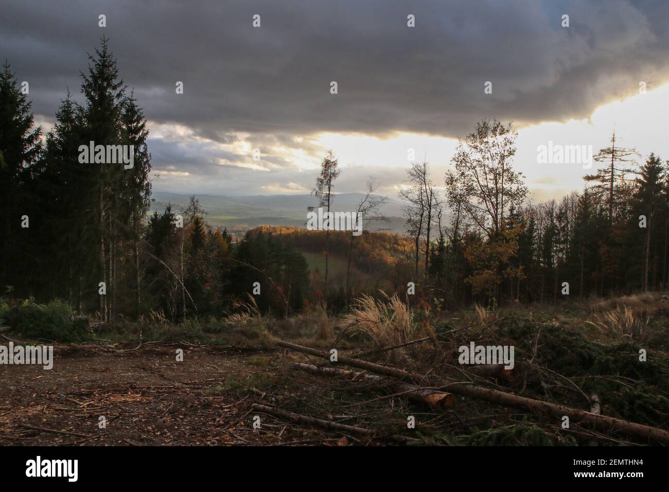 Southern bohemia hi-res stock photography and images - Alamy