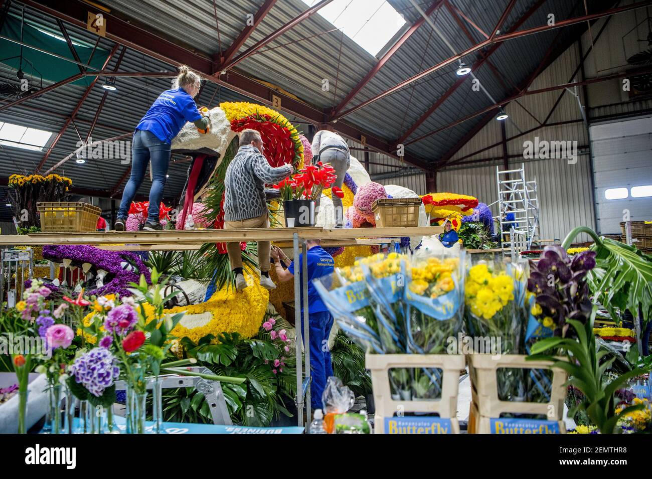 SASSENHEIM - Building up the flower cars for the flower parade on ...