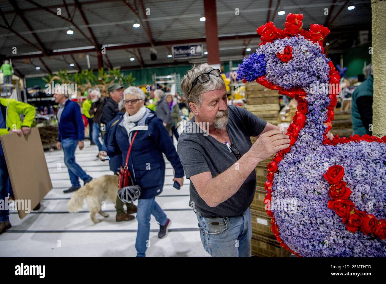 SASSENHEIM - Building up the flower cars for the flower parade on ...