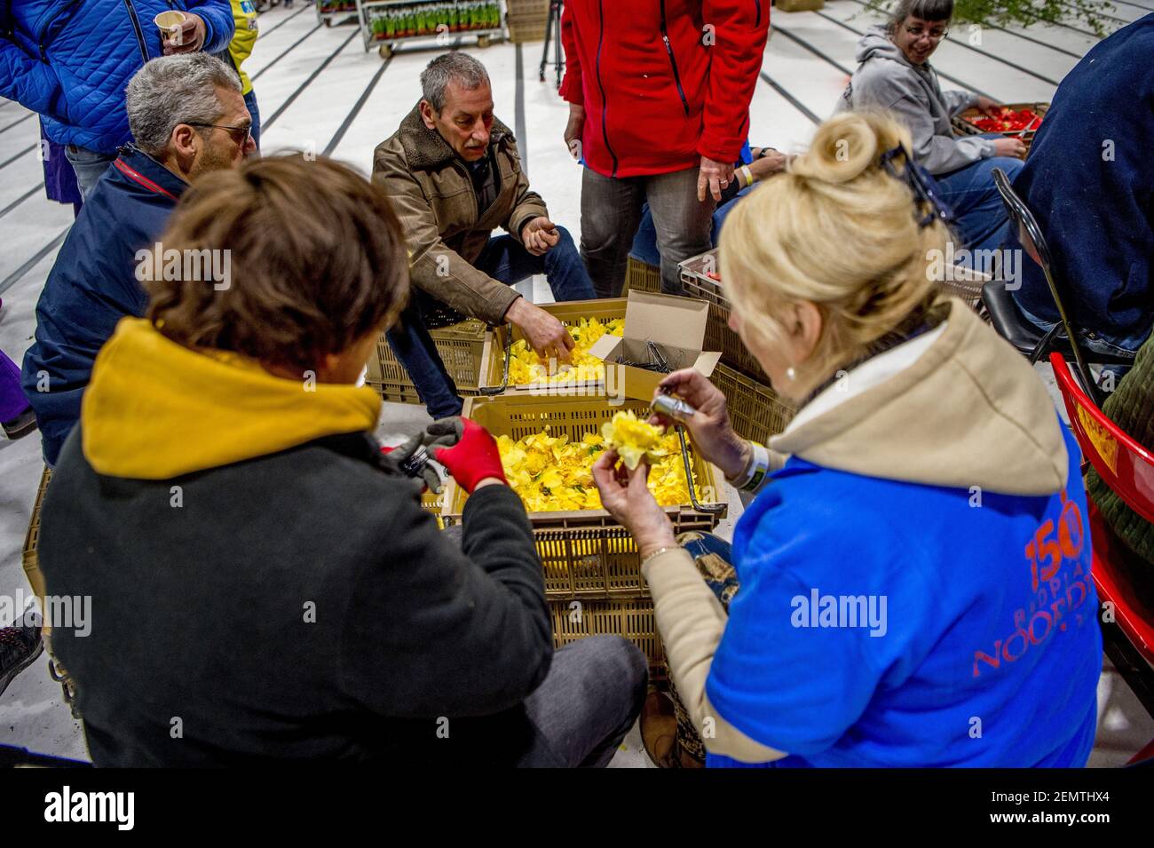SASSENHEIM - Building up the flower cars for the flower parade on ...