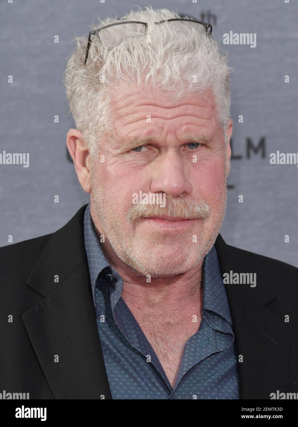 Ron Perlman arrives at the 2019 TCM Classic Film Festival Opening Night ...