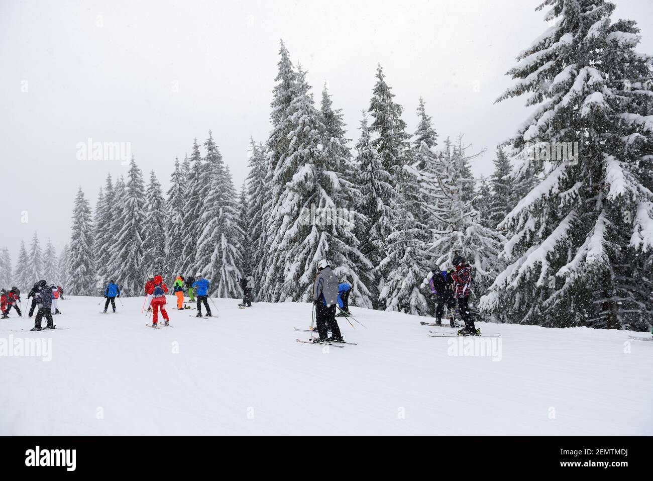 BUKOVEL, UKRAINE - DECEMBER 25: The skiers and snowborders are on slope ...