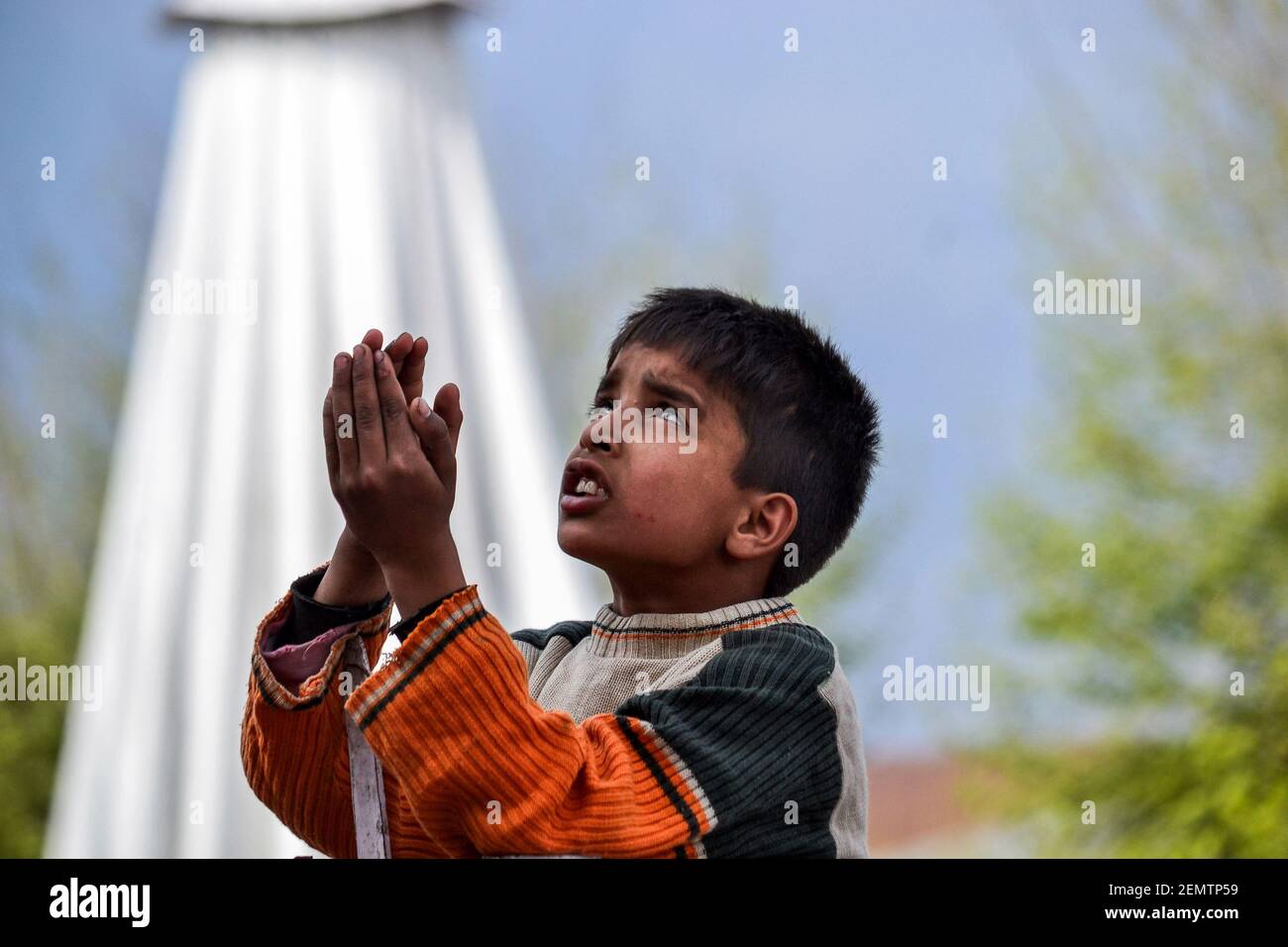 A young devotee seen praying upon seeing a relic believed to be hair ...