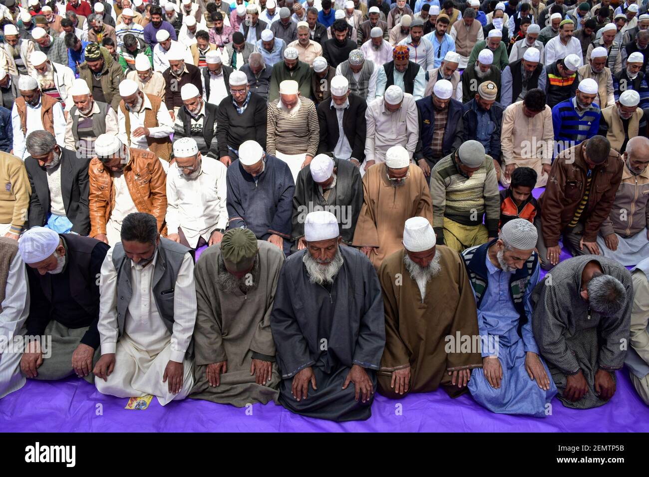 Kashmiri Muslim devotees seen offering noon prayers during the ...