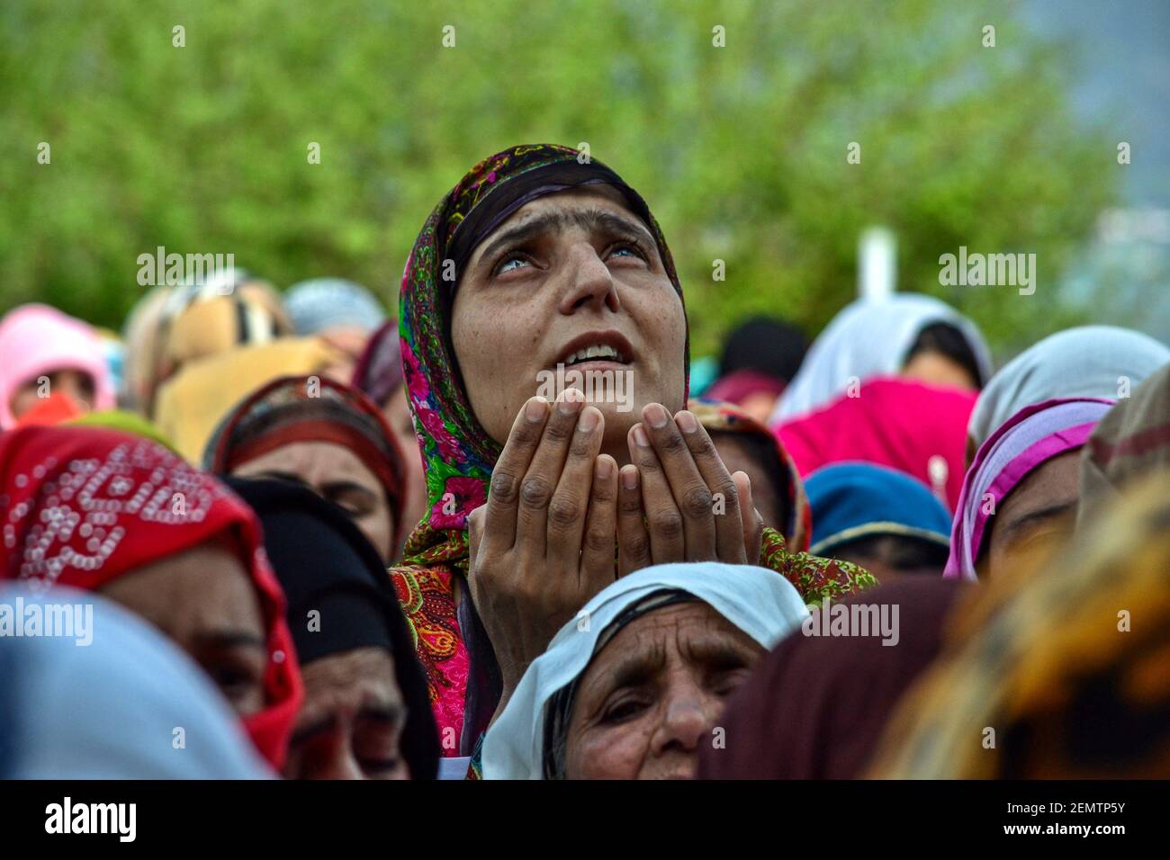 A devotee seen praying upon seeing a relic believed to be hair from the ...