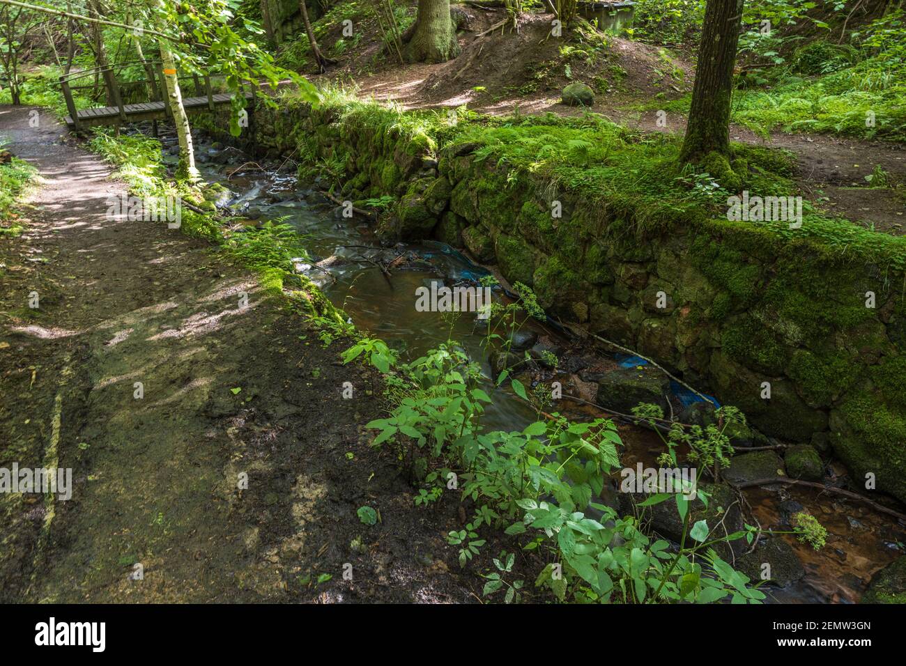 Beautiful summer nature landscape view. Small stream in green forest ...