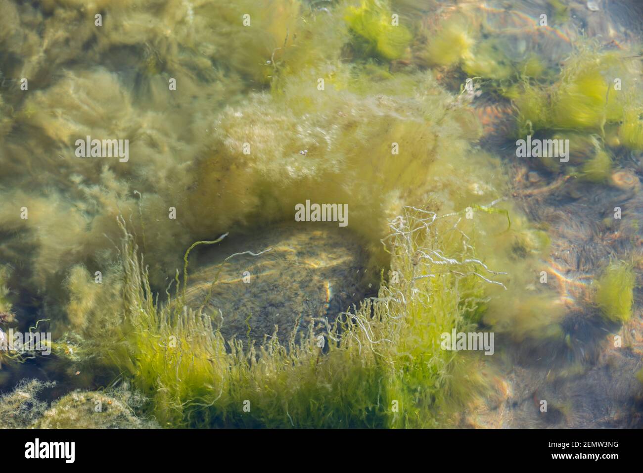 Turbid water hi-res stock photography and images - Alamy