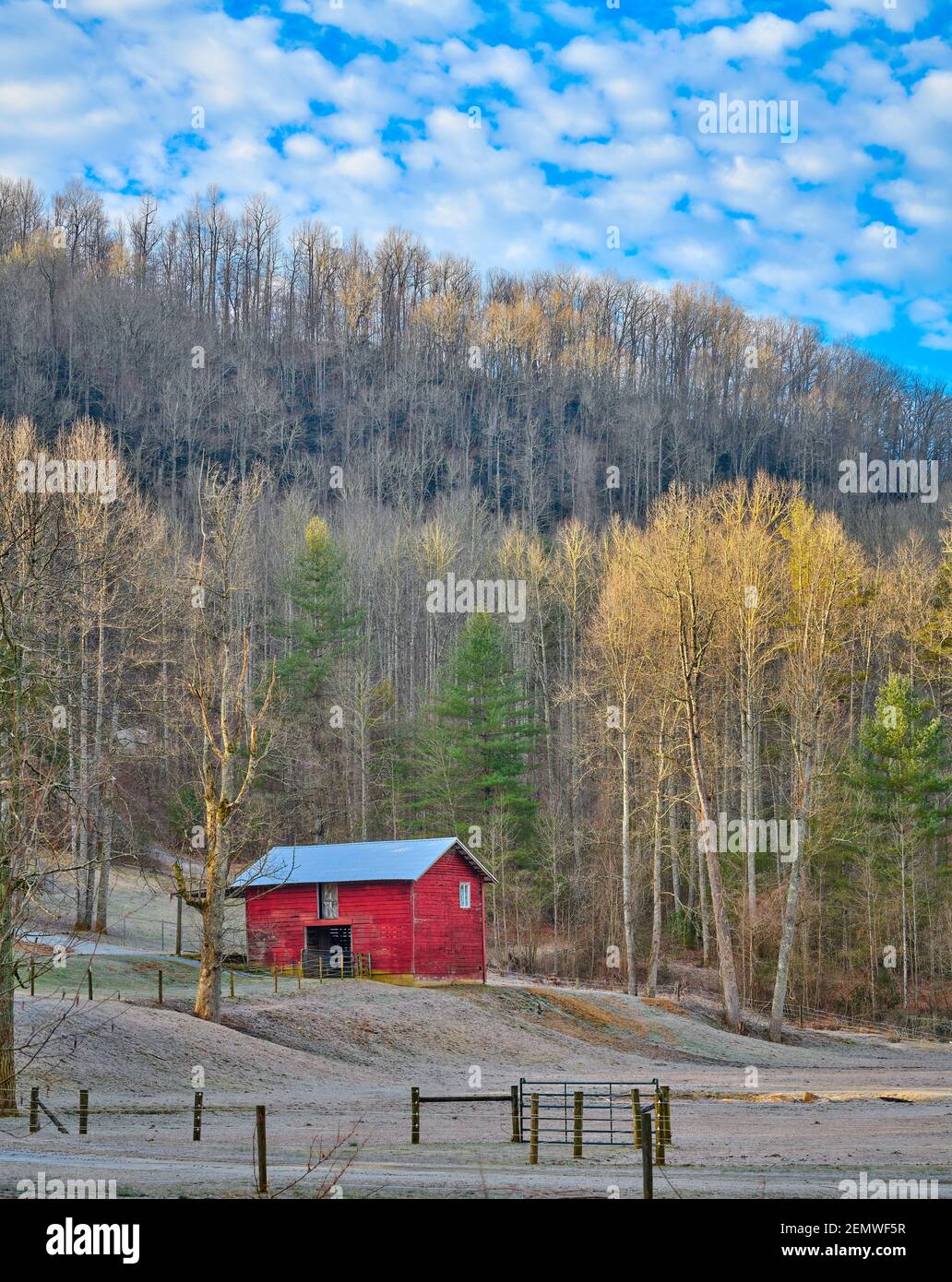 Old red barn with early morning sun rays on trees Stock Photo - Alamy
