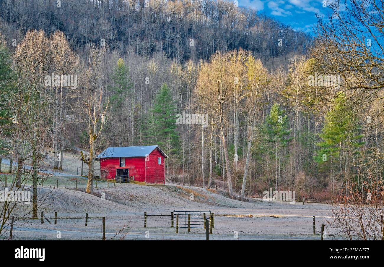 Old red barn with early morning sun rays on trees Stock Photo - Alamy
