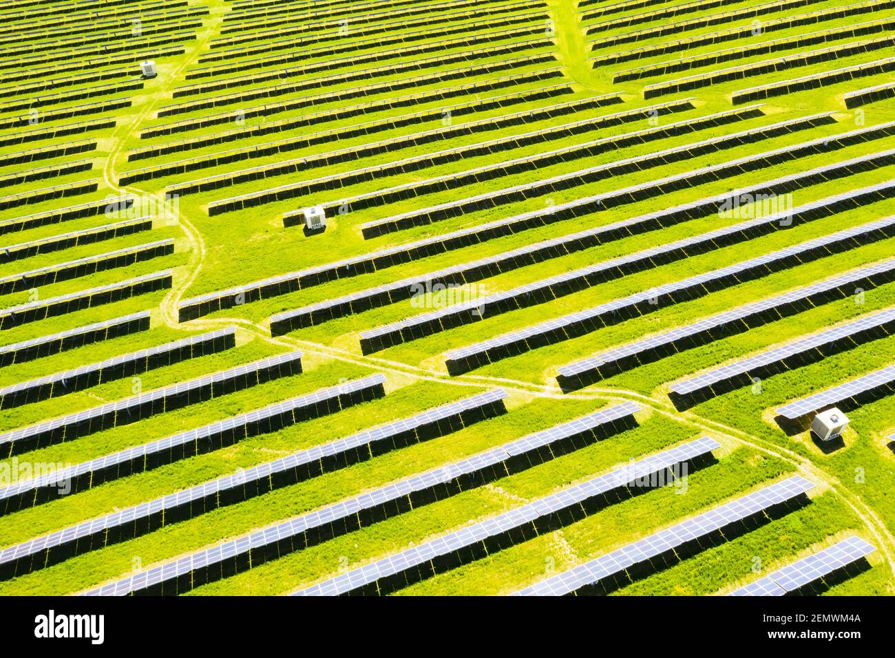 Solar panel from above. Aerial drone photo looking down on rows of blue ...