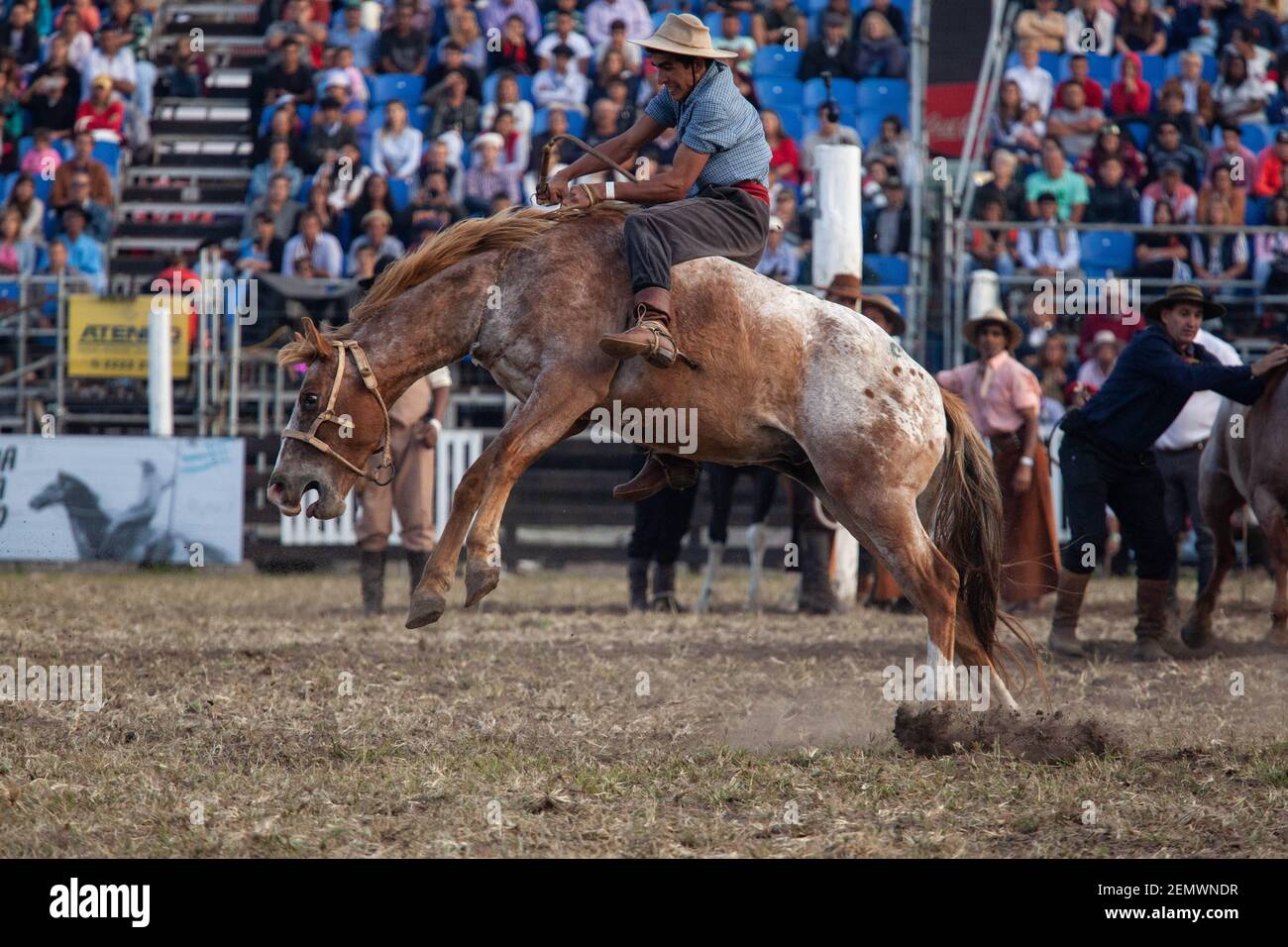 A Gaucho (Cowboy) seen riding a horse during the "Criolla Week" rodeo ...