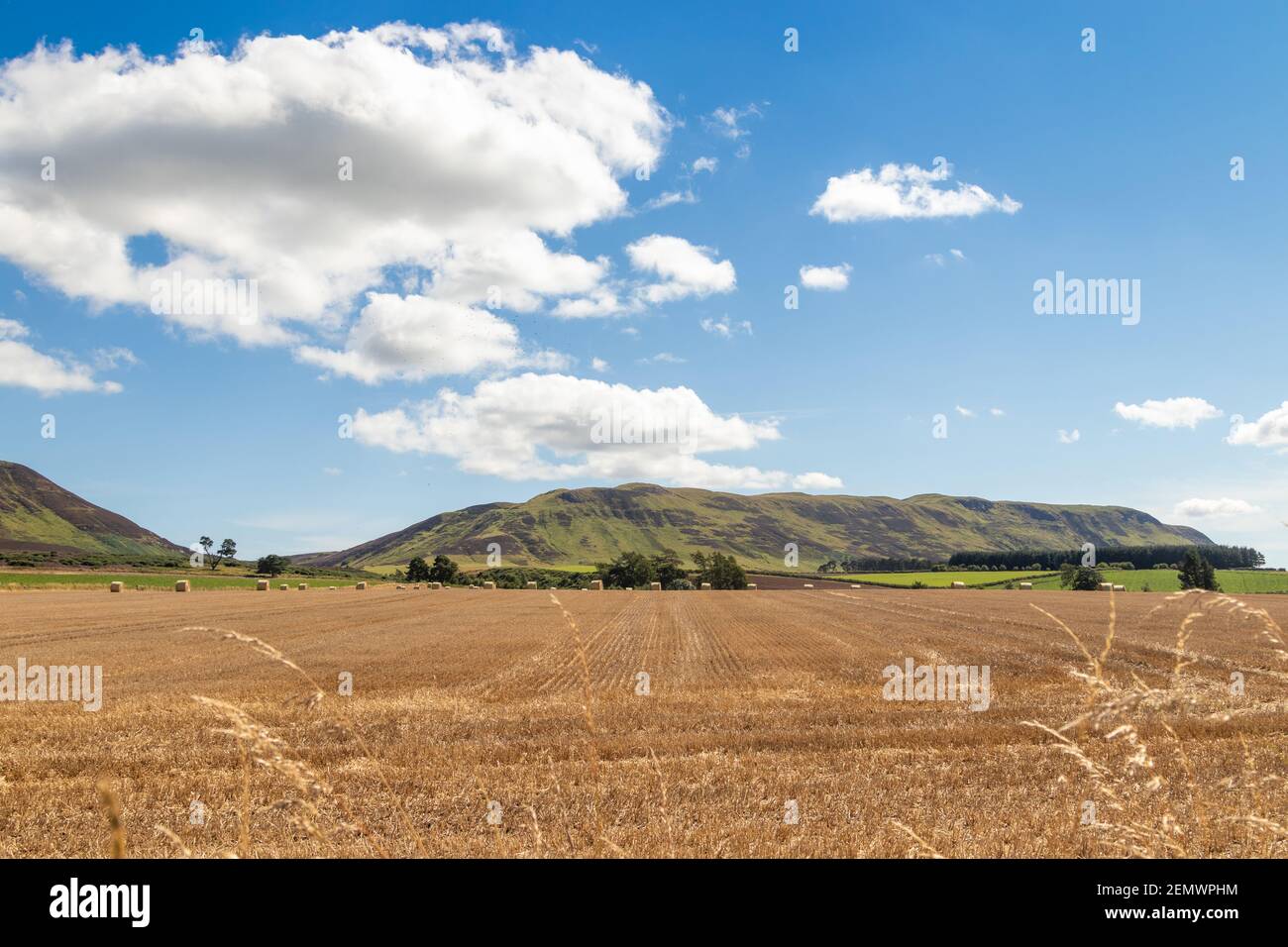 Looking towards Bishop Hill over harvested wheat fields, Fife, Scotland ...