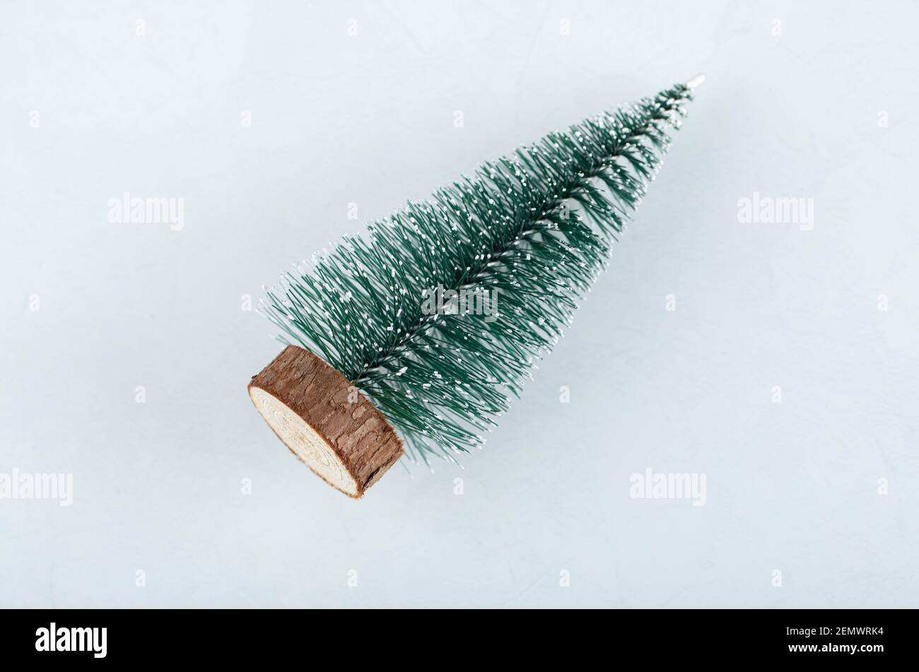 Miniature pine tree on white background Stock Photo - Alamy