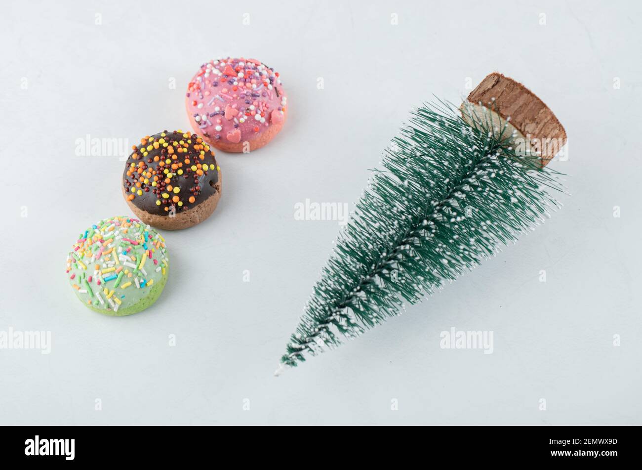 Pine tree cookie hi-res stock photography and images - Alamy