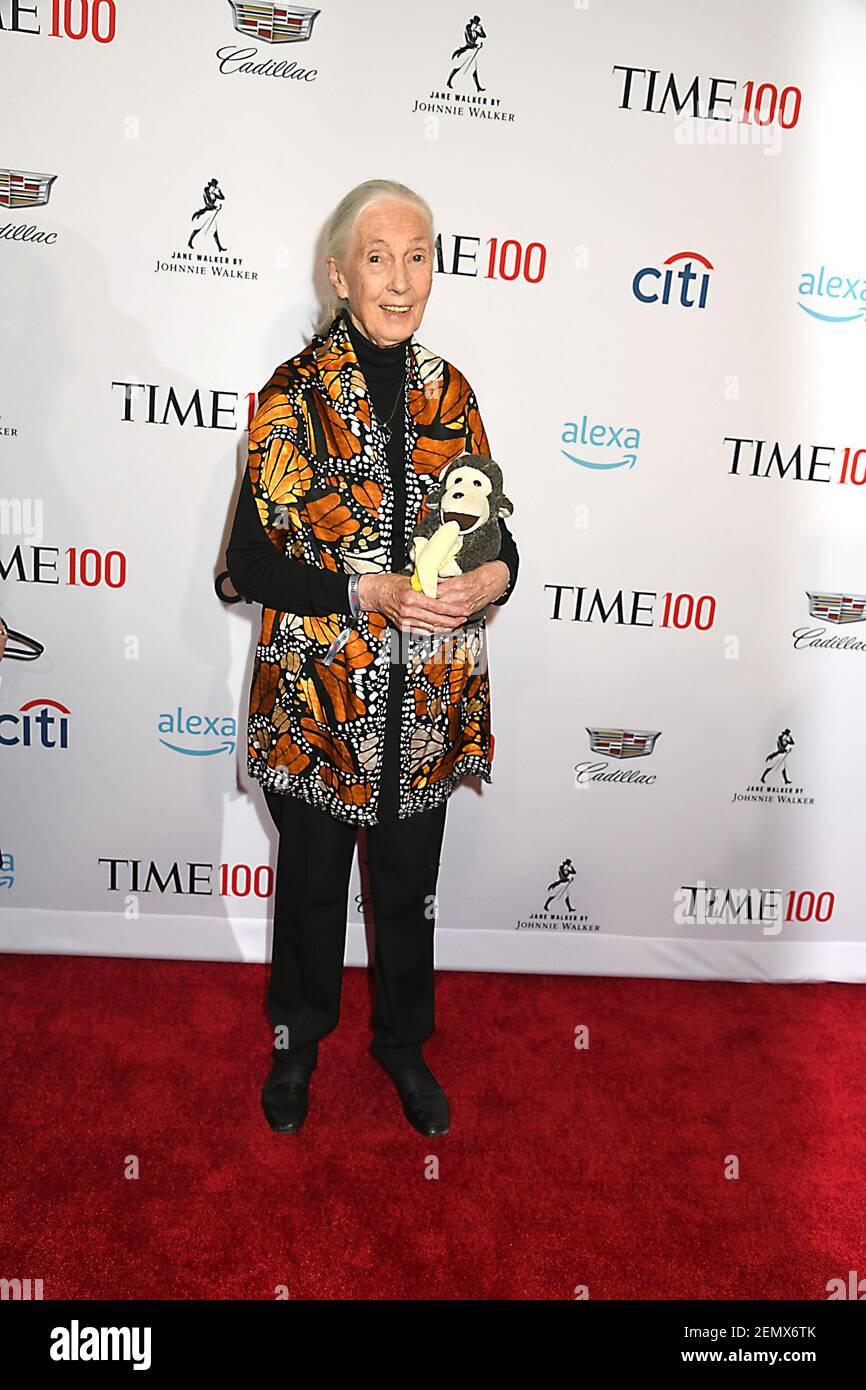 English Primatologist and Anthropologist Jane Goodall attends the 2019 ...