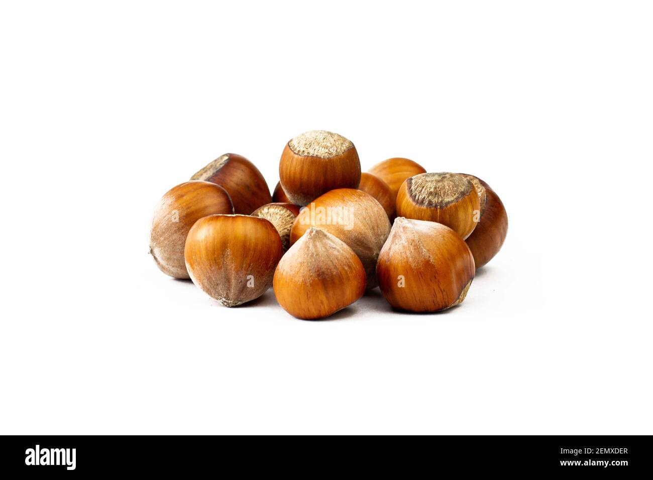 Hazel snake hi-res stock photography and images - Alamy