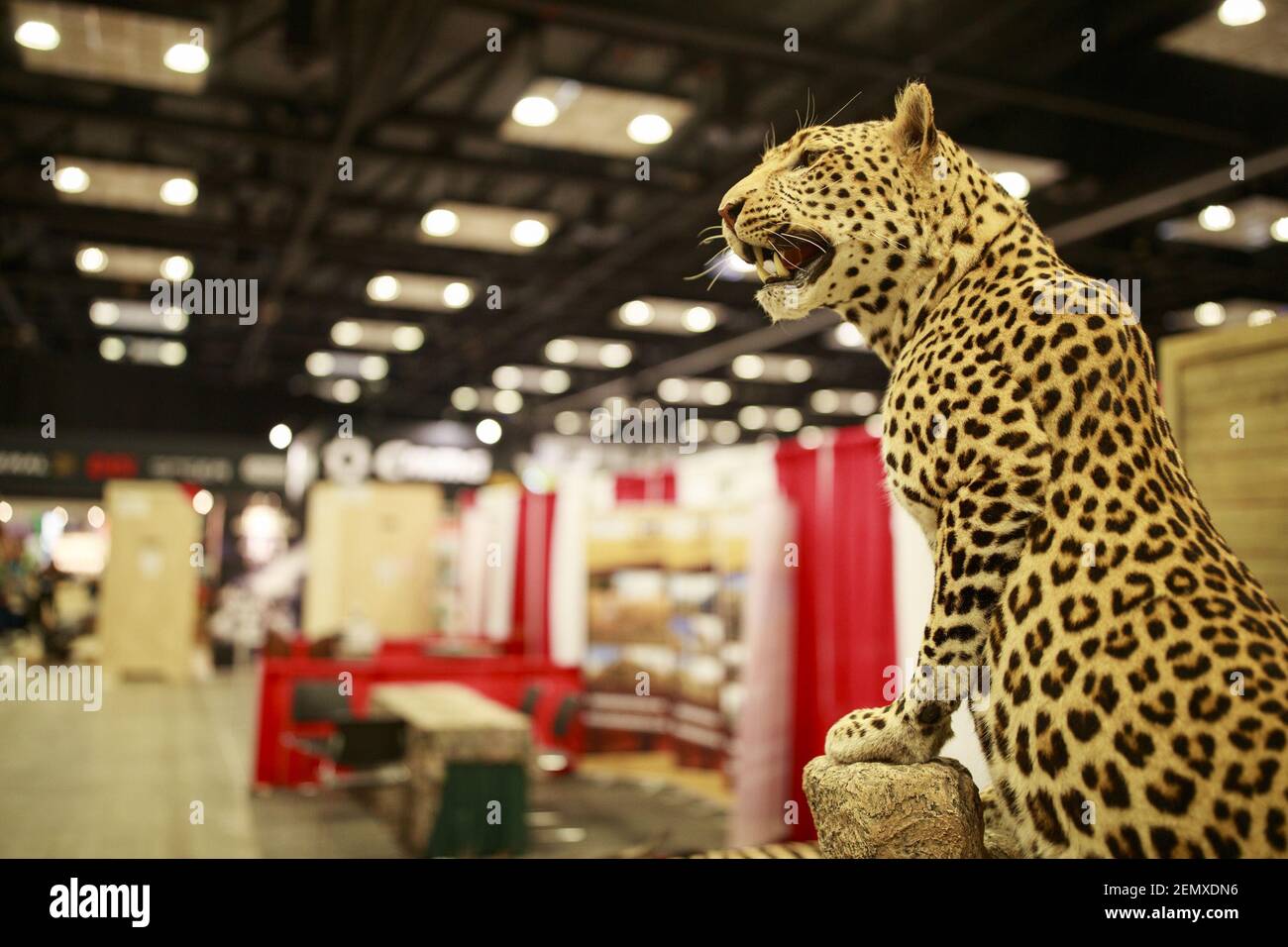A stuffed leopard is on display in the outfitters section before the ...
