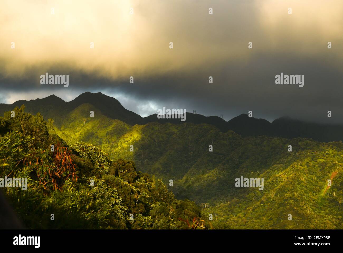 Spectacular view of rain forest mountain ridge, Mount Olympus, lookout ...