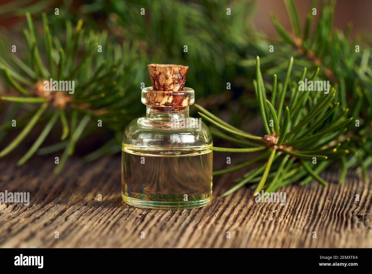 Essential aromatic oil spruce hi-res stock photography and images - Alamy