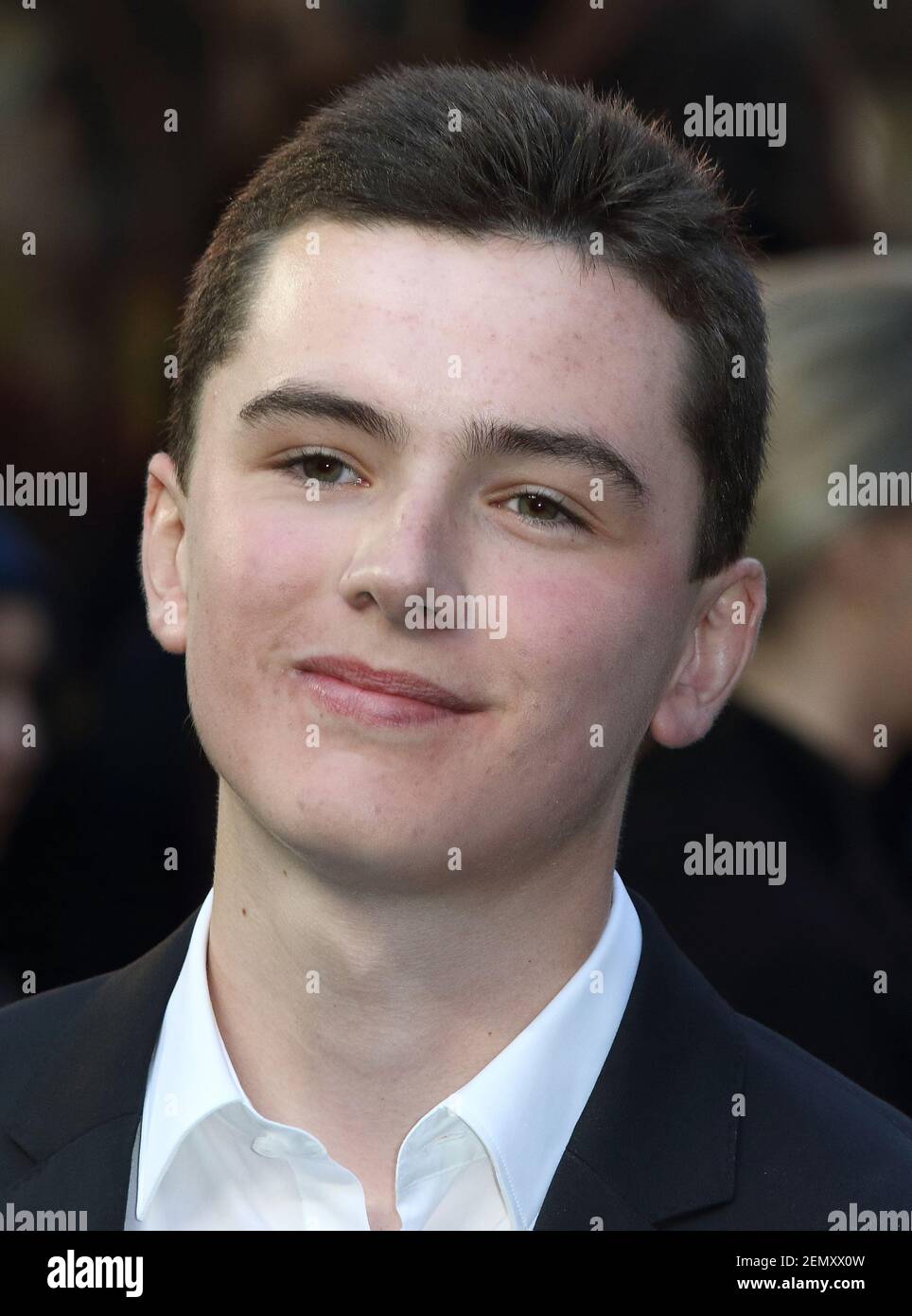 Harry Gilby on the red carpet at the Tolkien UK Premiere at the Curzon ...