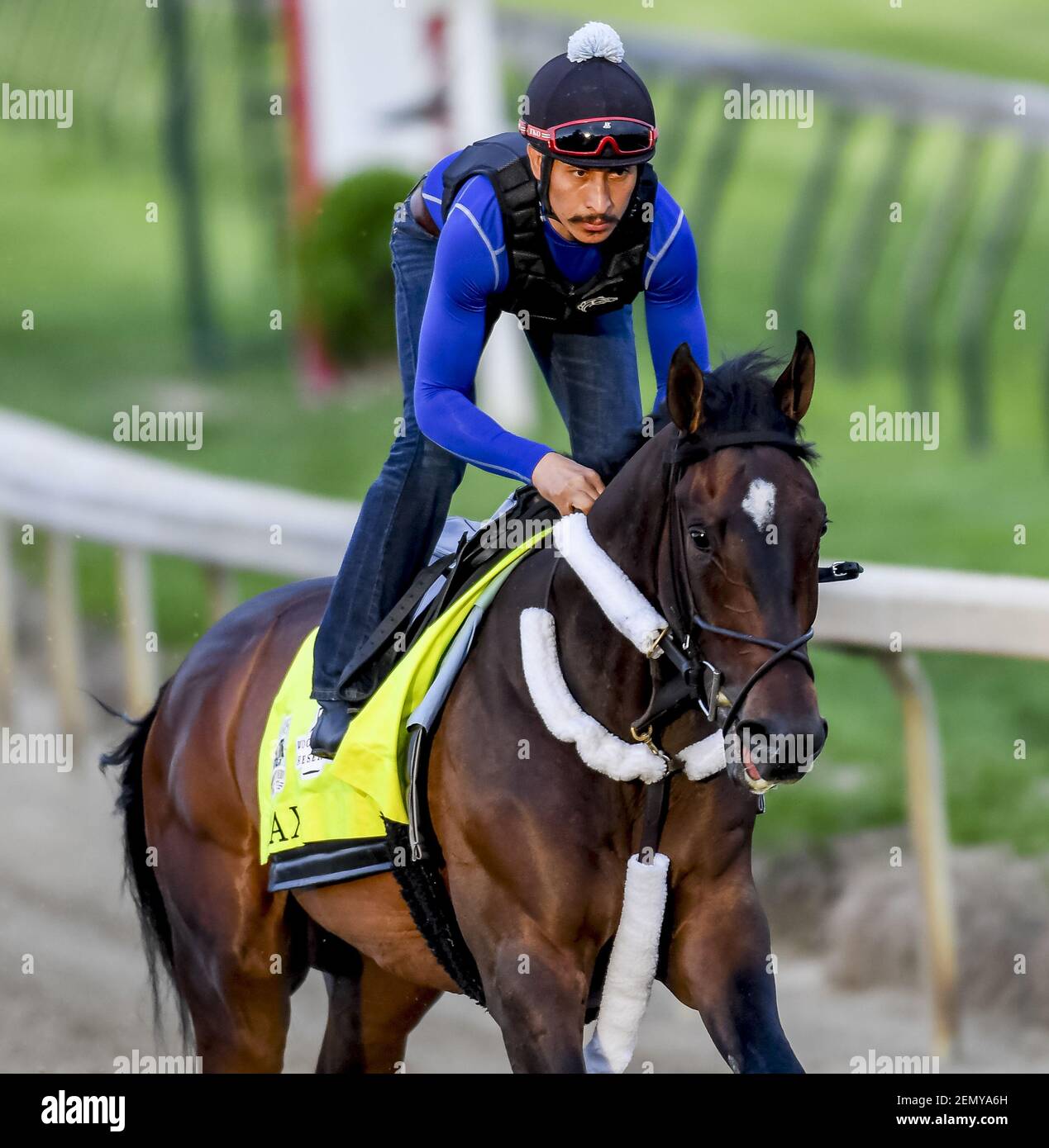May 1, 2019 - Louisville, Kentucky, U.S. - Tax, trained by Danny Gargan ...