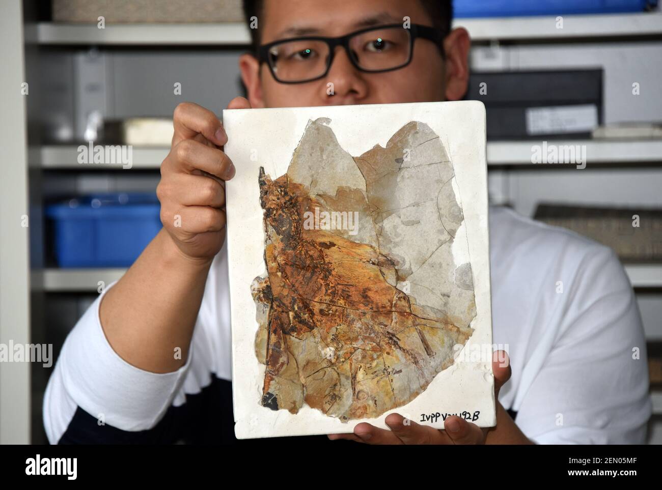 Photo released on 9 May 2019 show Chinese researcher Wang Min ...