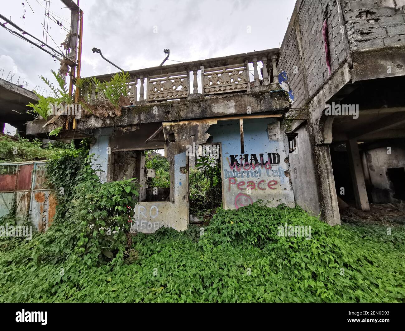 (5/9/2019) Nature crept in the heavily devastated buildings of Marawi ...
