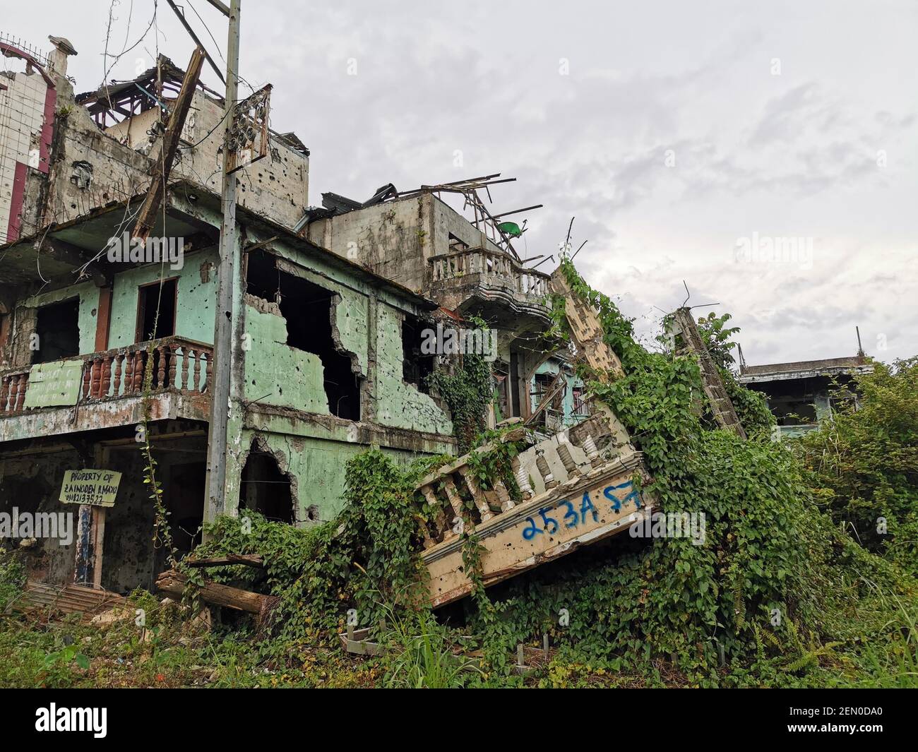 (5/9/2019) Nature crept in the heavily devastated buildings of Marawi ...
