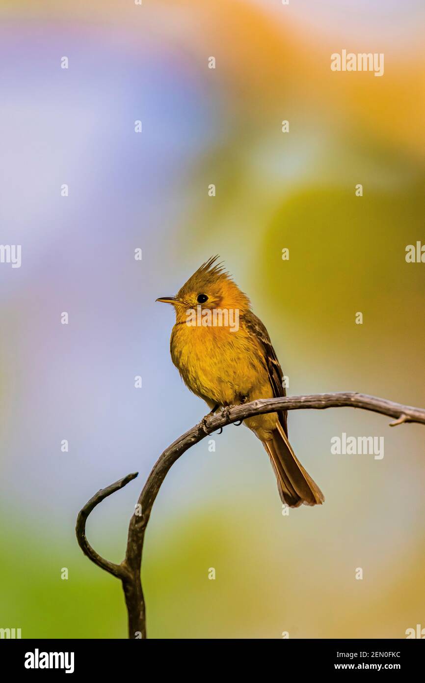 Townsite campground hi-res stock photography and images - Alamy