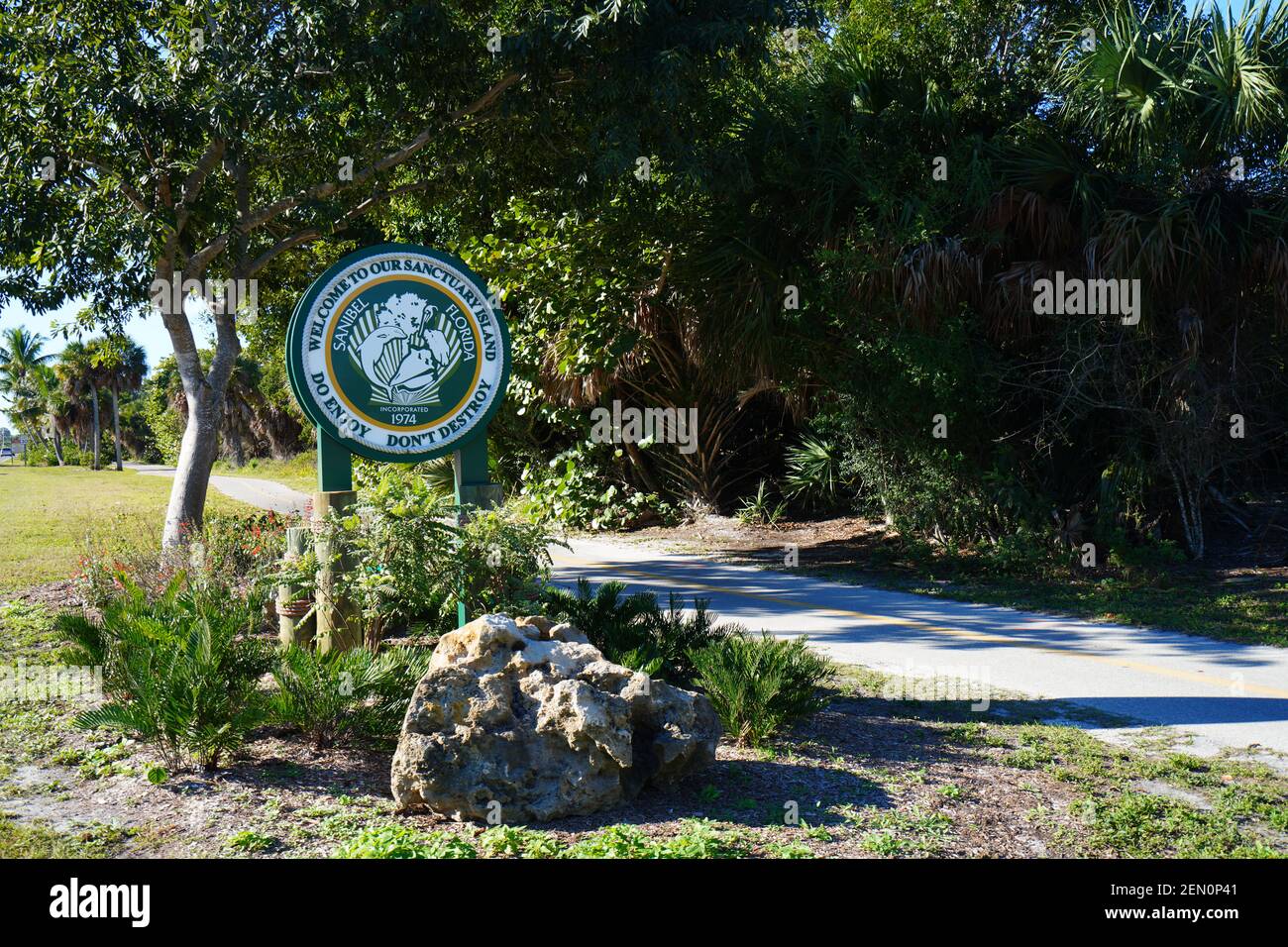 Florida dolphin beach hi-res stock photography and images - Alamy