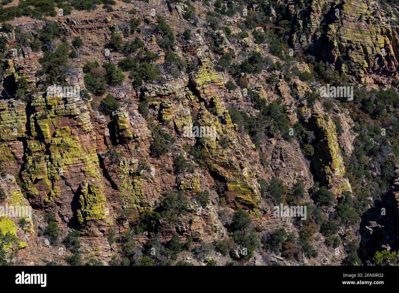 Rocky terrain of the Miller Peak Wilderness in the Huachuca Mountains ...
