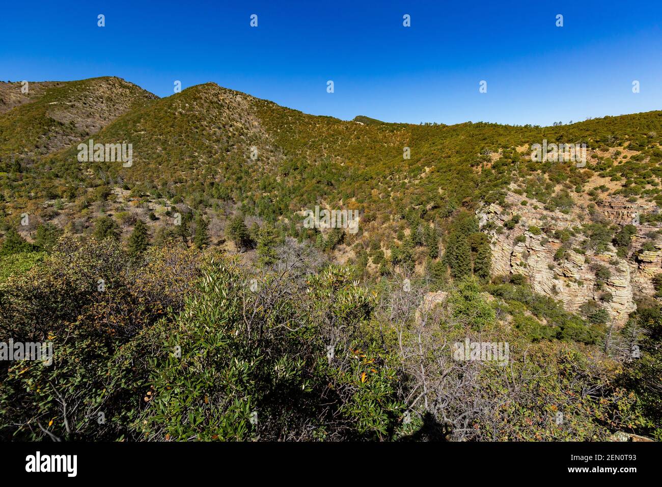 Rocky terrain of the Miller Peak Wilderness in the Huachuca Mountains ...
