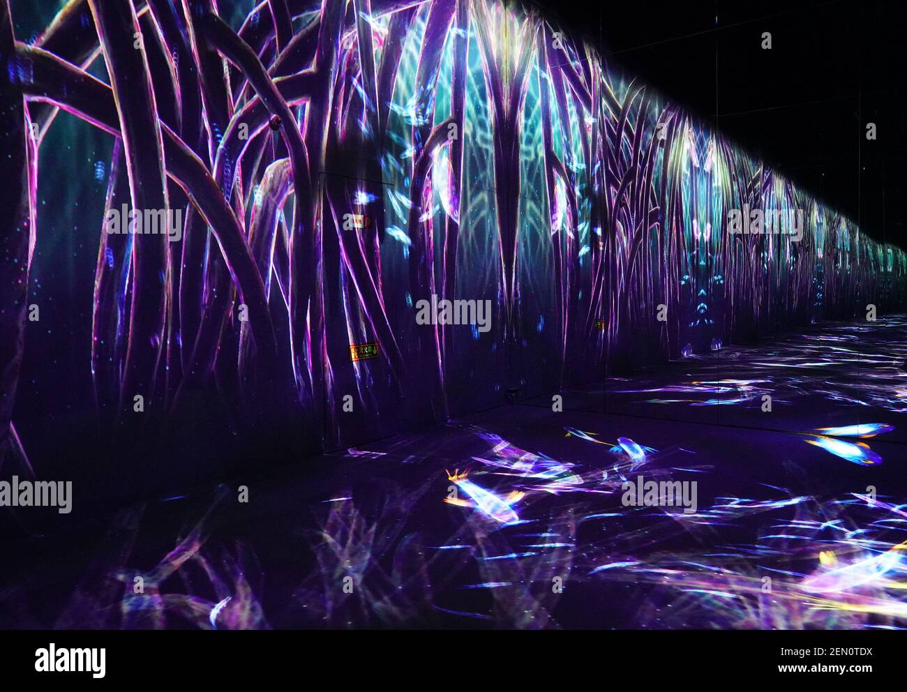 The Botanic Garden is illuminated by colorful lights during a light ...