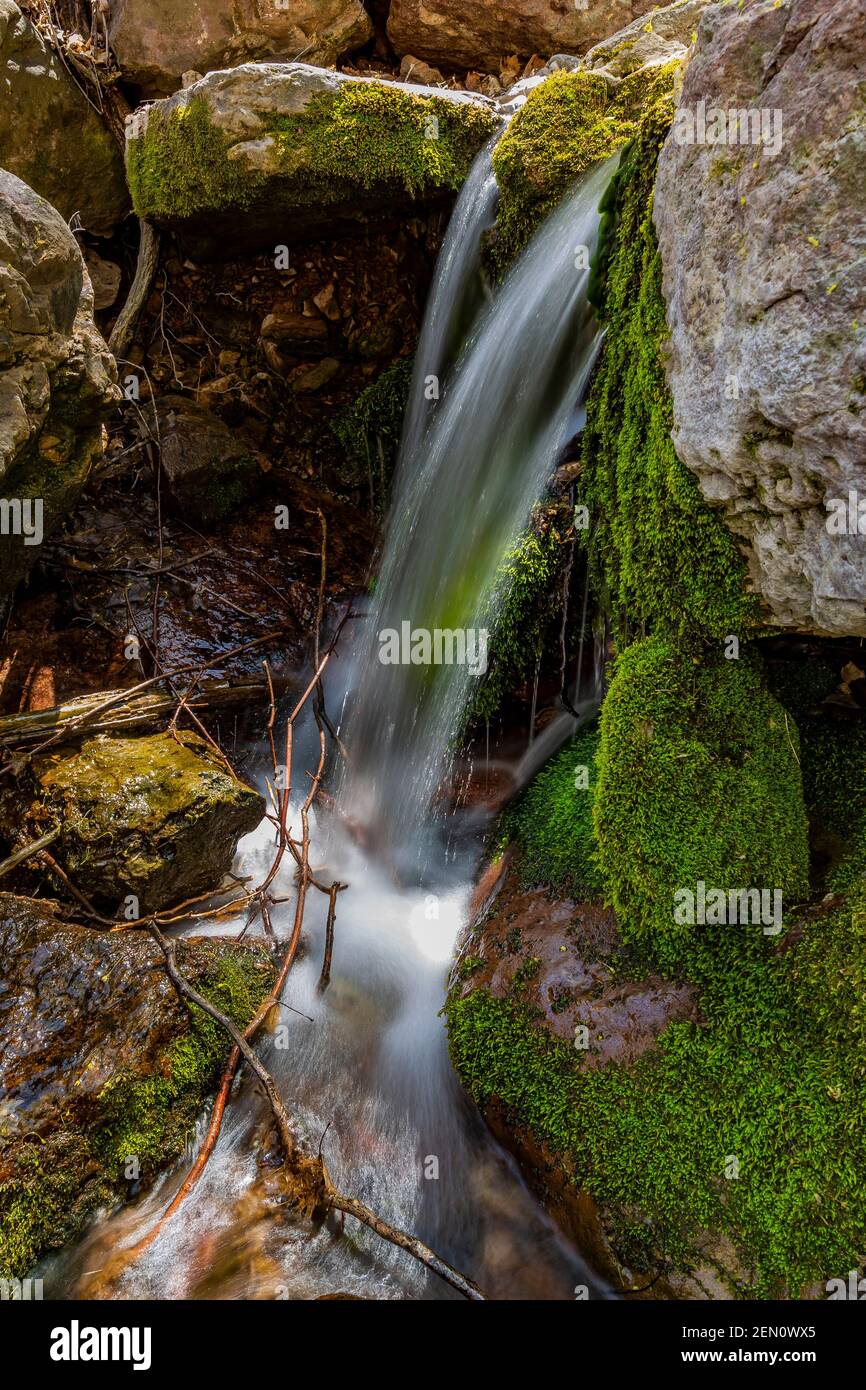 Small waterfall along a mountain stream in the Miller Peak Wilderness ...