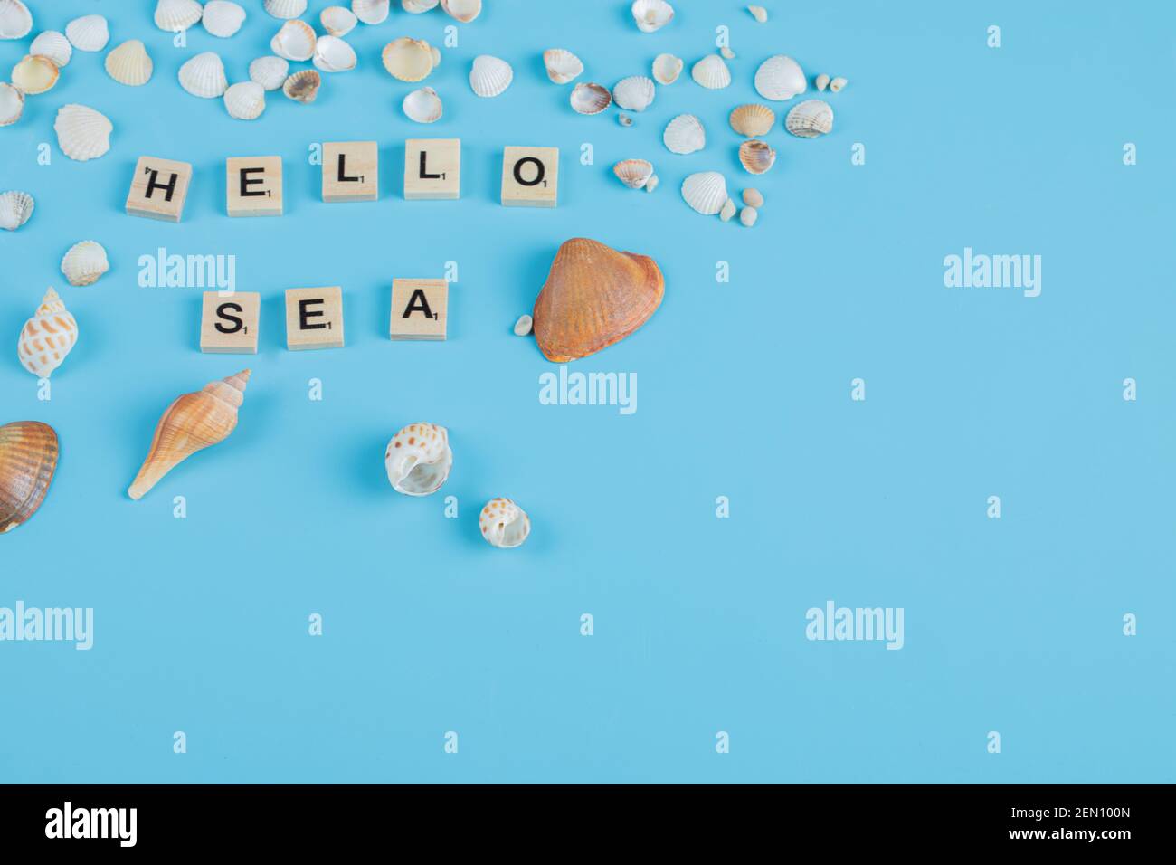 Blue ocean background with sea shells on it Stock Photo - Alamy