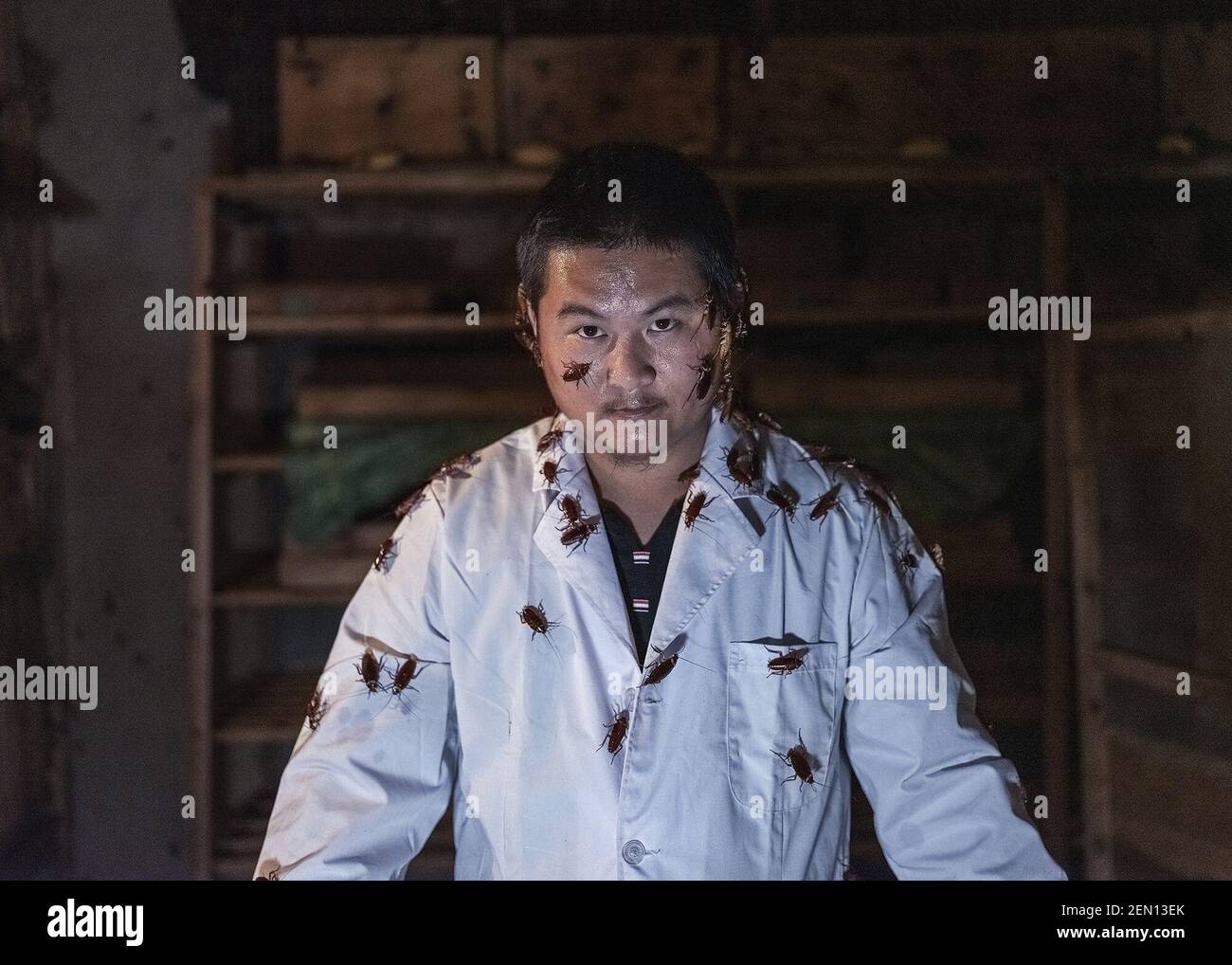 Chinese man Yang Zhengfeng poss with his cockroaches used in ...