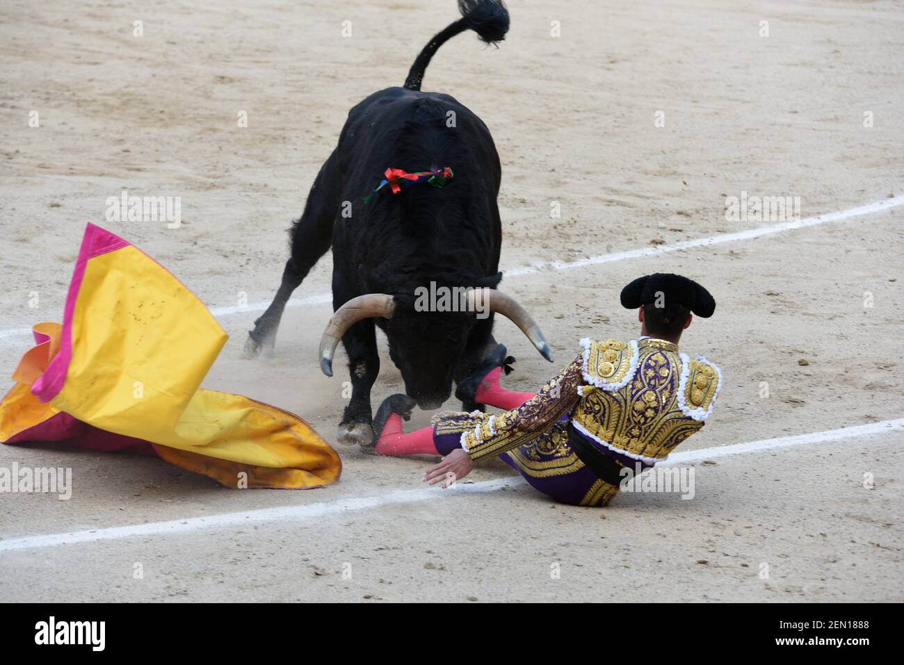Spanish matador David Galvan is seen performing with a 'Valdefresno ...