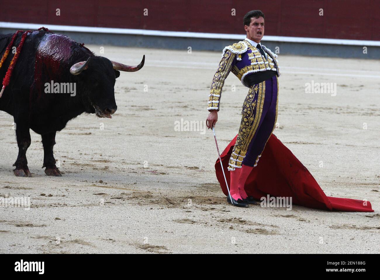 Spanish matador David Galvan is seen performing with a 'Valdefresno ...