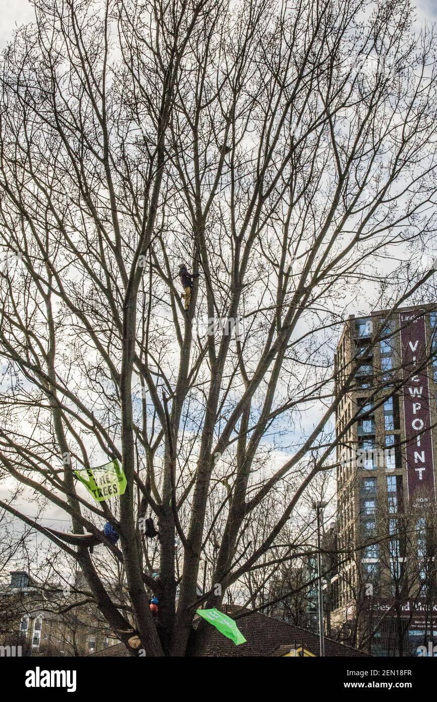 Environmental tree sitting protest hi-res stock photography and images ...