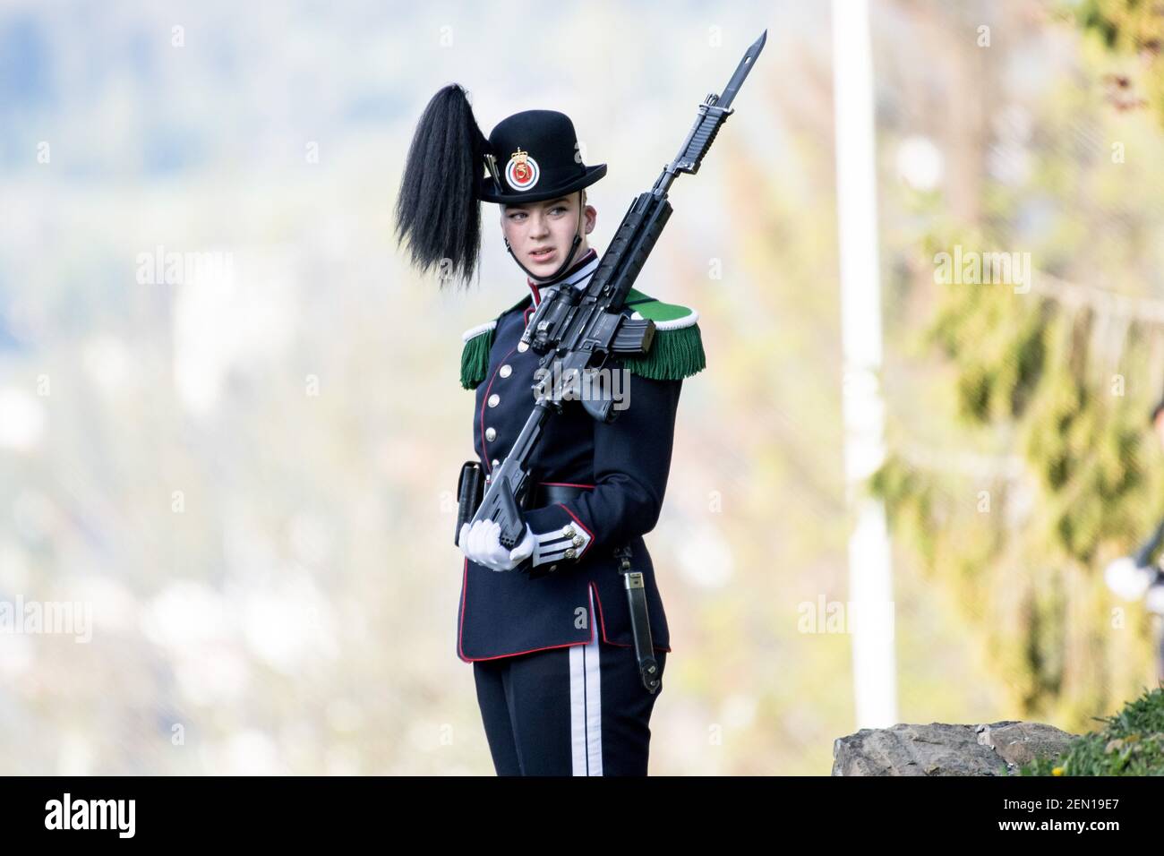 Norwegian Guard during the celebrations of the national day at the ...
