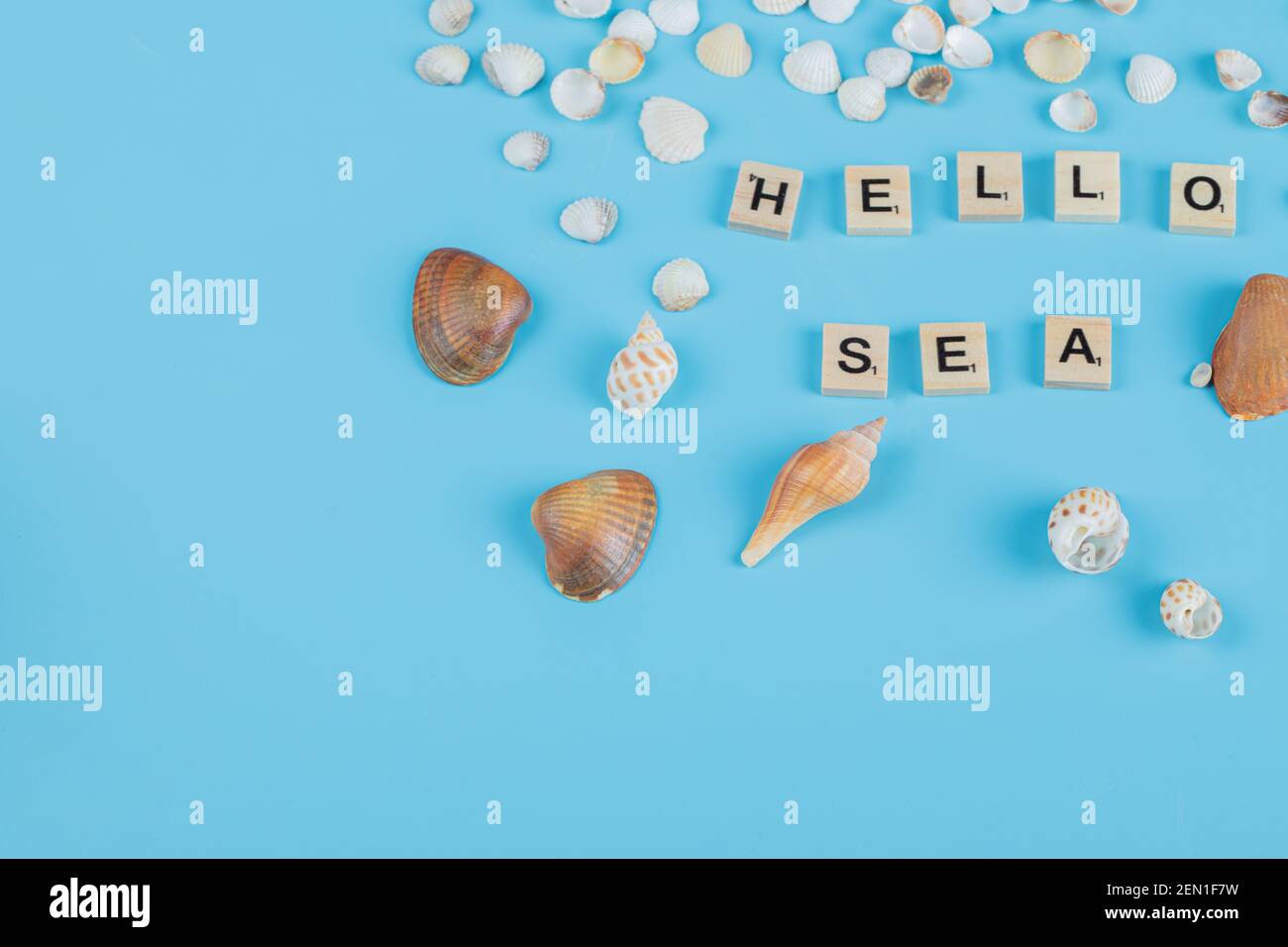 Hello sea quote on blue background with sea shells around Stock Photo ...