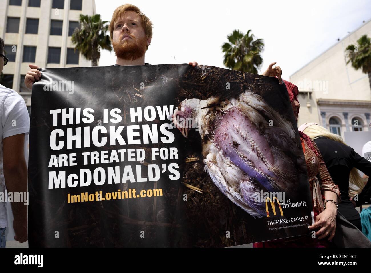 An animal rights activist seen holding a banner during a protest of ...