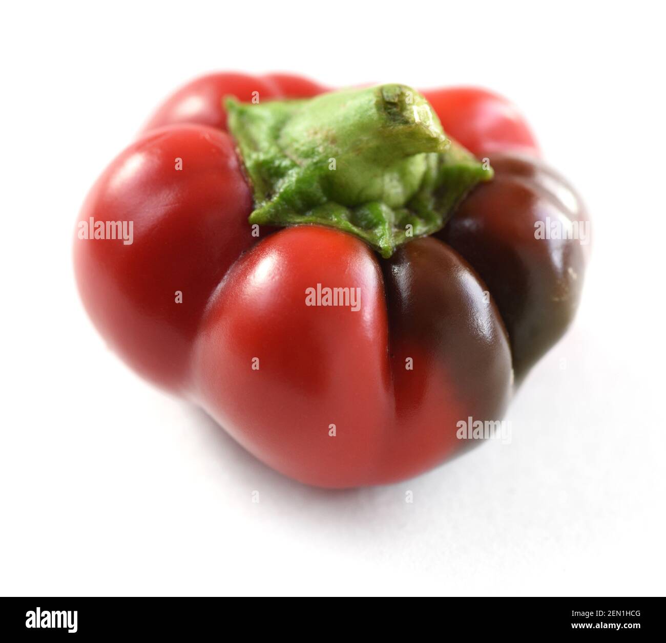 Organic vegetables. Odd shaped homegrown red bell pepper isolated on ...